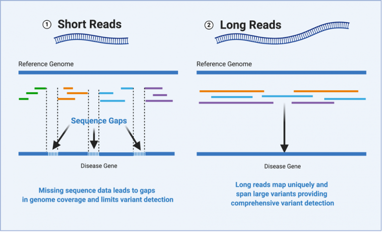 HudsonAlpha researchers use highly accurate long-read sequencing technology to help diagnose ...