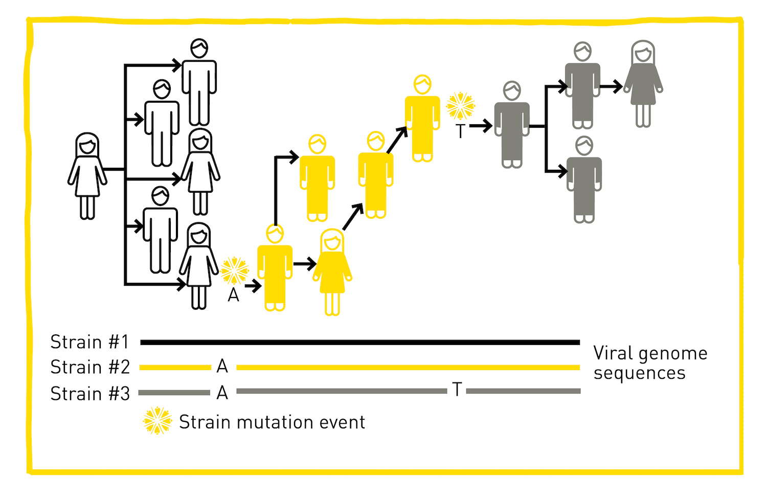 Genomic surveillance: using the genome to track and monitor viruses ...