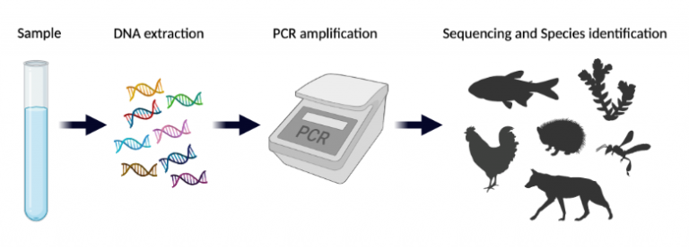 Can environmental DNA help protect Earth’s biodiversity? – HudsonAlpha ...