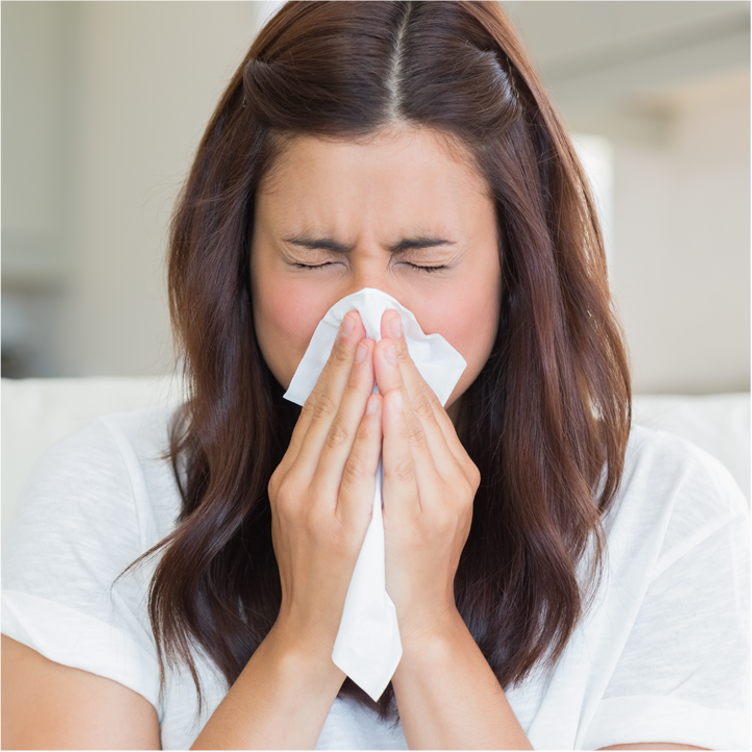 Achoo! Sneezing mice reveal molecular pathway that initiates sneezes ...