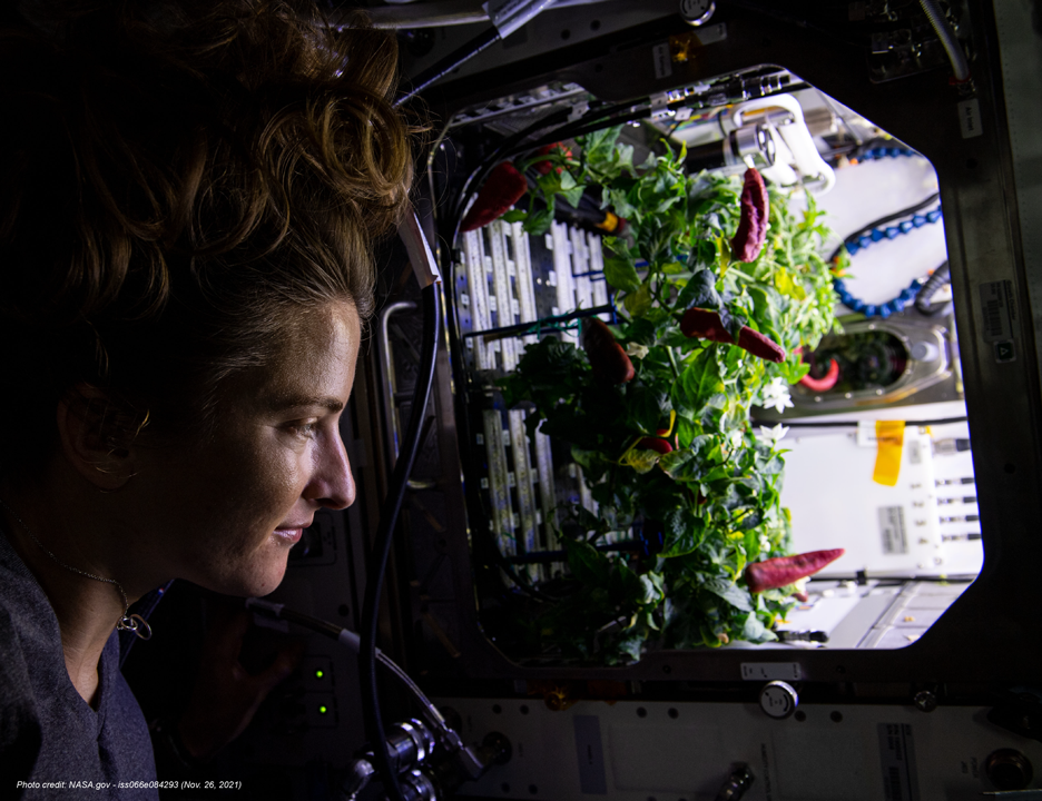 What happens when you put plants in space? – HudsonAlpha Institute for ...