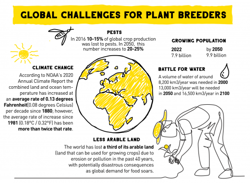 Creating better crops: the role of genomics in crop breeding ...
