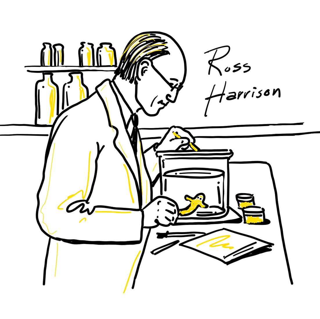 Cell culture: tiny cells, life-changing discoveries – HudsonAlpha ...