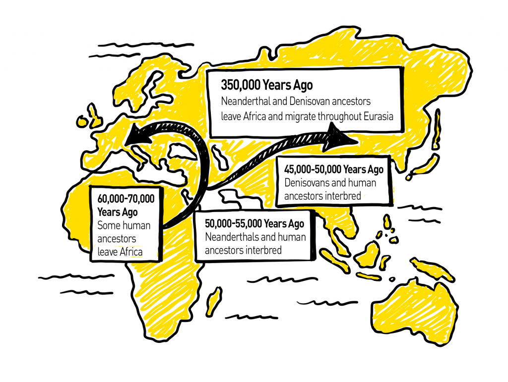 Ancient DNA: How does Neanderthal DNA affect modern humans ...