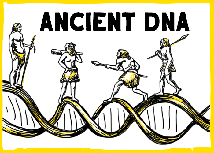 Ancient DNA: How does Neanderthal DNA affect modern humans ...