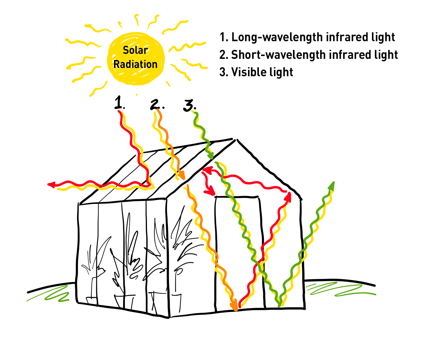 Greenhouses: creating the perfect climate for plants – HudsonAlpha ...