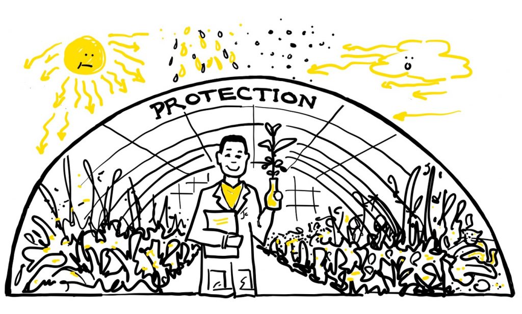 Greenhouses: creating the perfect climate for plants – HudsonAlpha ...