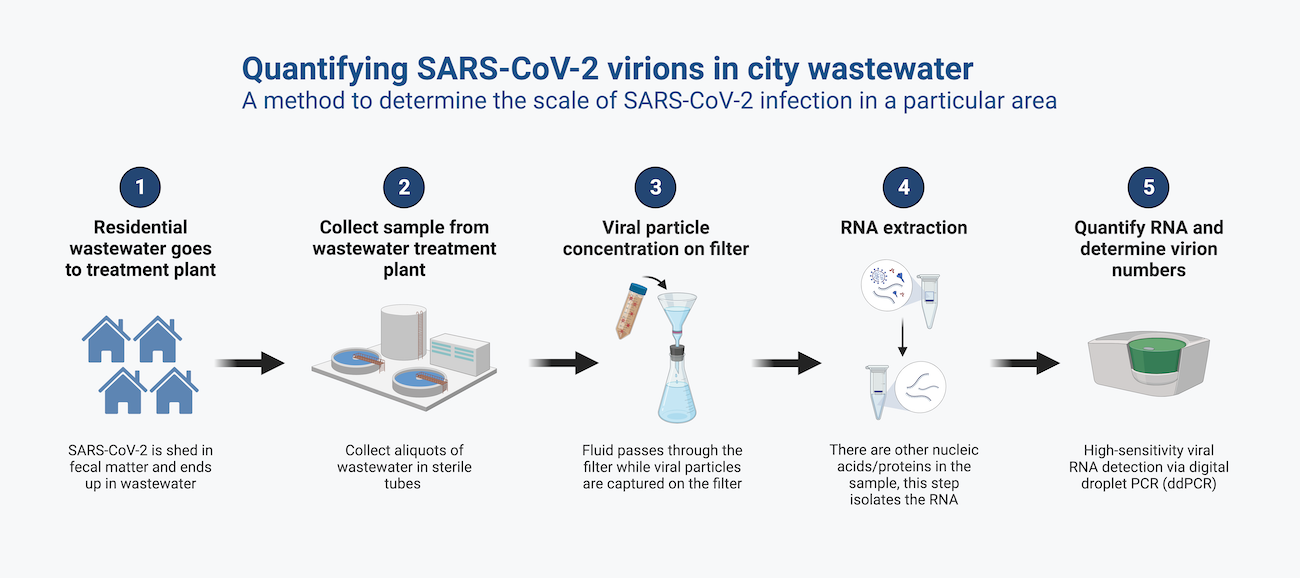 Wastewater – HudsonAlpha Institute for Biotechnology