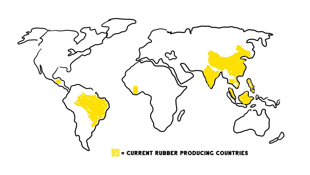 Guayule: Can genetics create a natural US rubber source? – HudsonAlpha ...