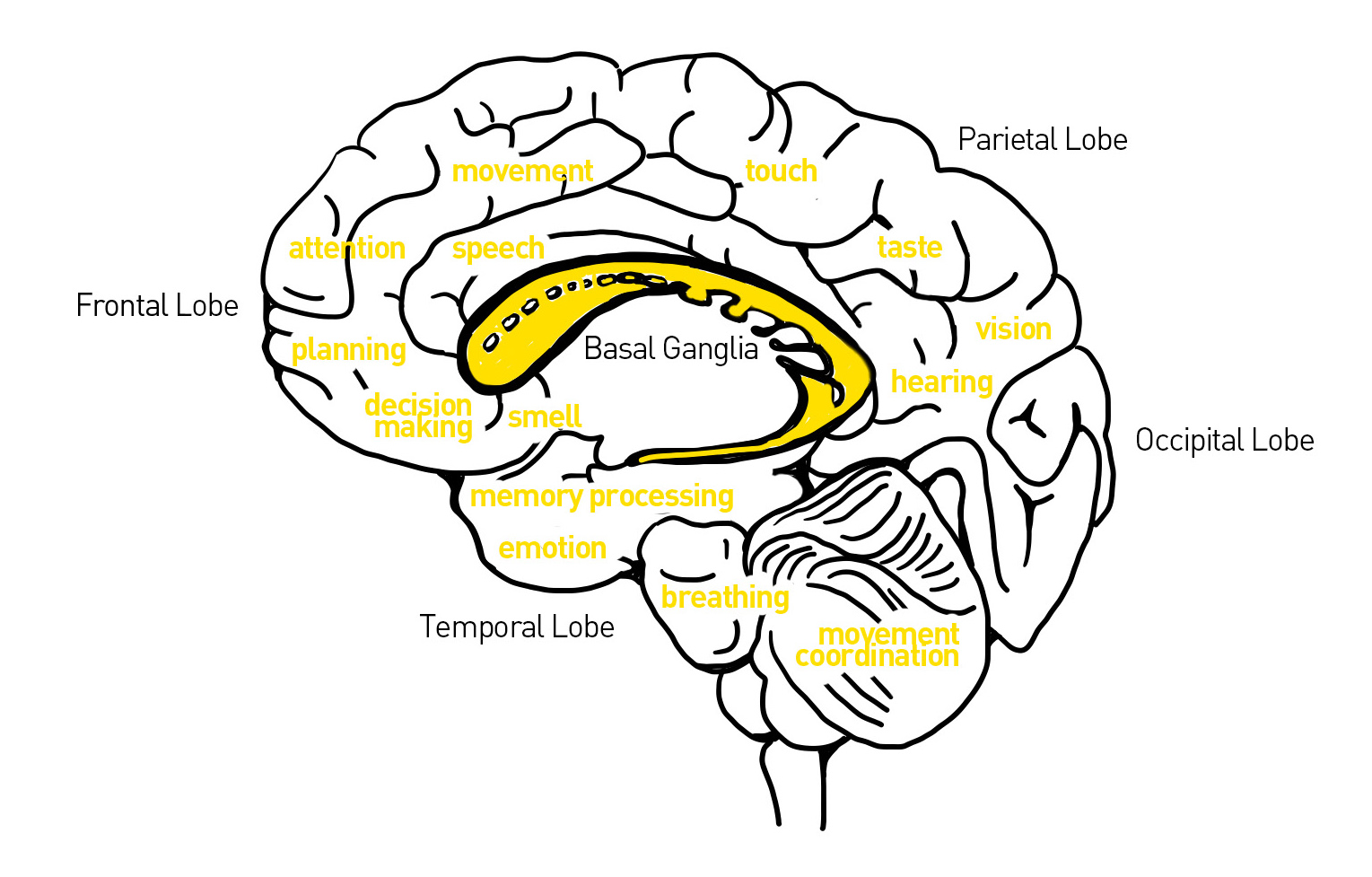 Parkinson’s Disease: exploring the science behind the symptoms ...