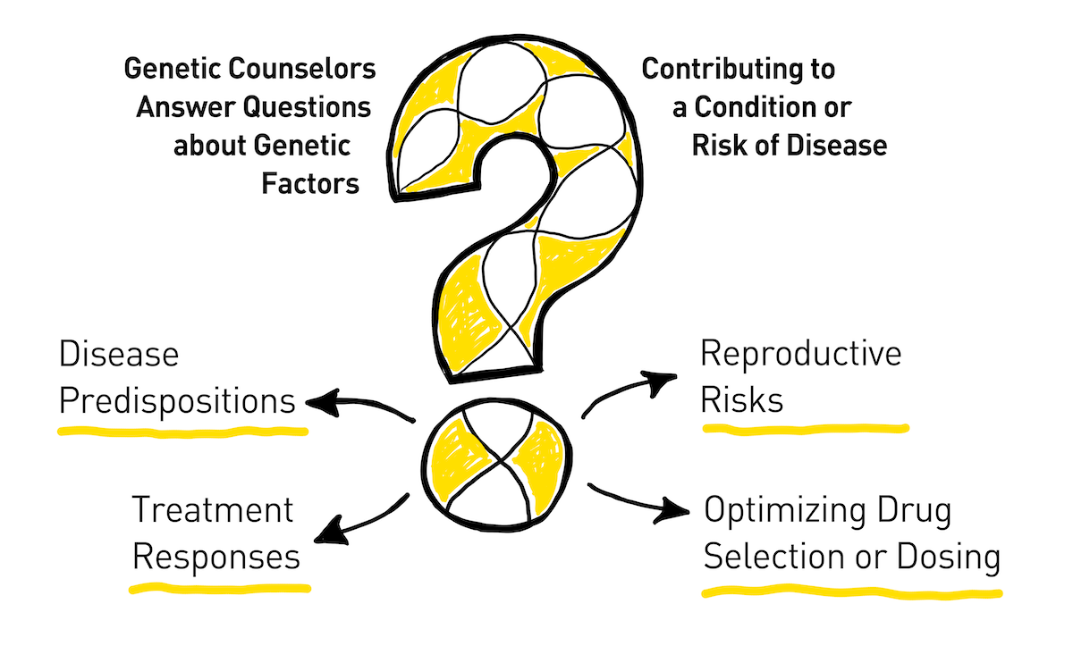Careers in Genomics: Genetic Counseling – HudsonAlpha Institute for ...