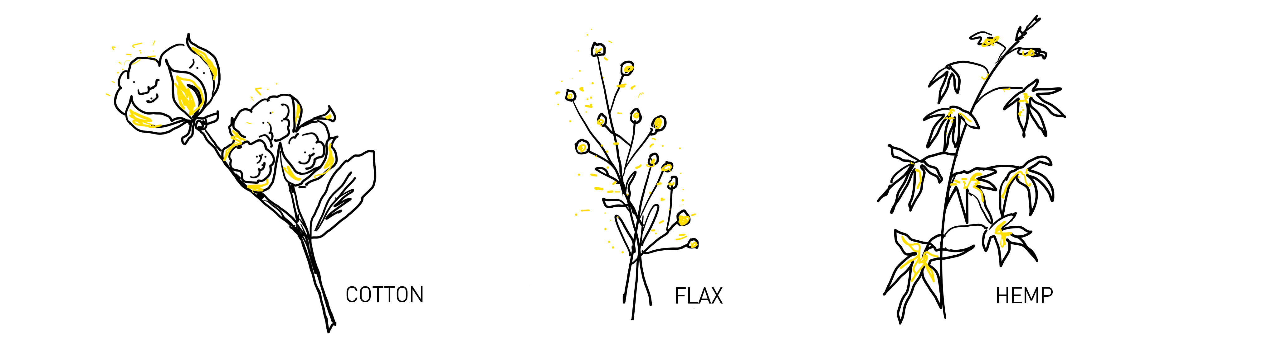 Weaving the future: using genetics to improve sustainable fiber crops ...