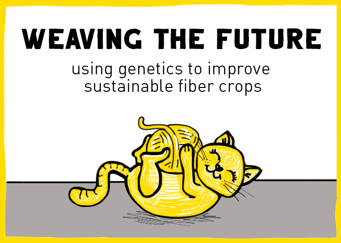 Weaving the future: using genetics to improve sustainable fiber crops ...