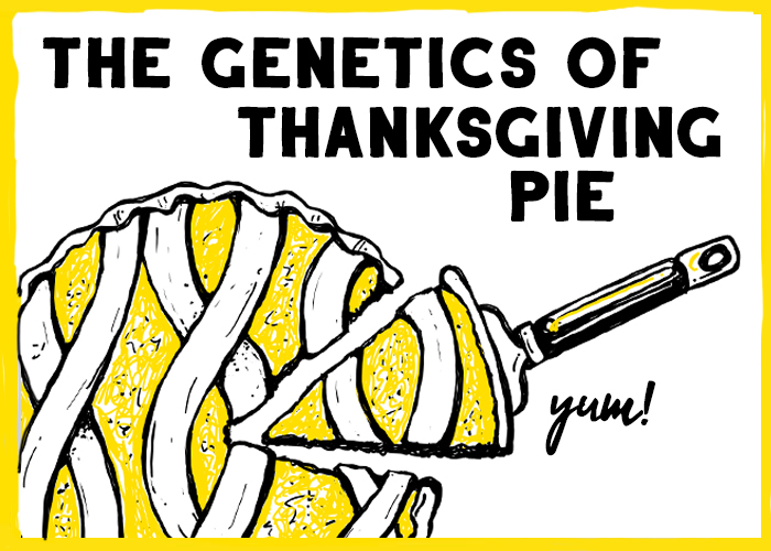 Save room for dessert: how genetics ensures we get our fill of ...