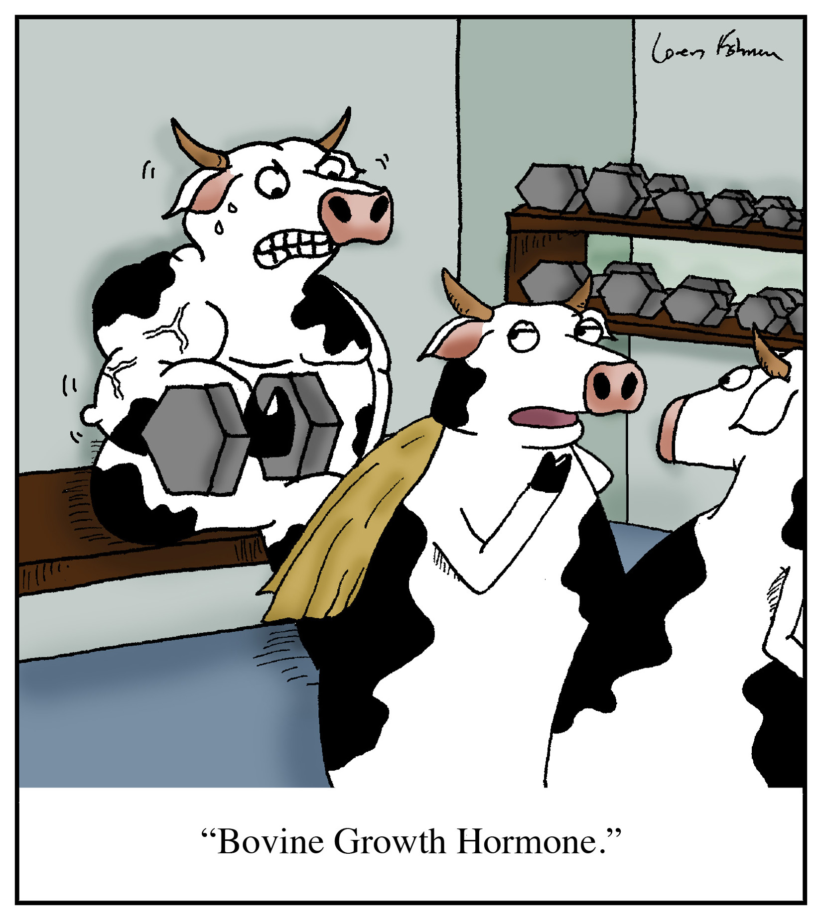 Cartoon: "Bovine Growth Hormone." - Humoresque Cartoons