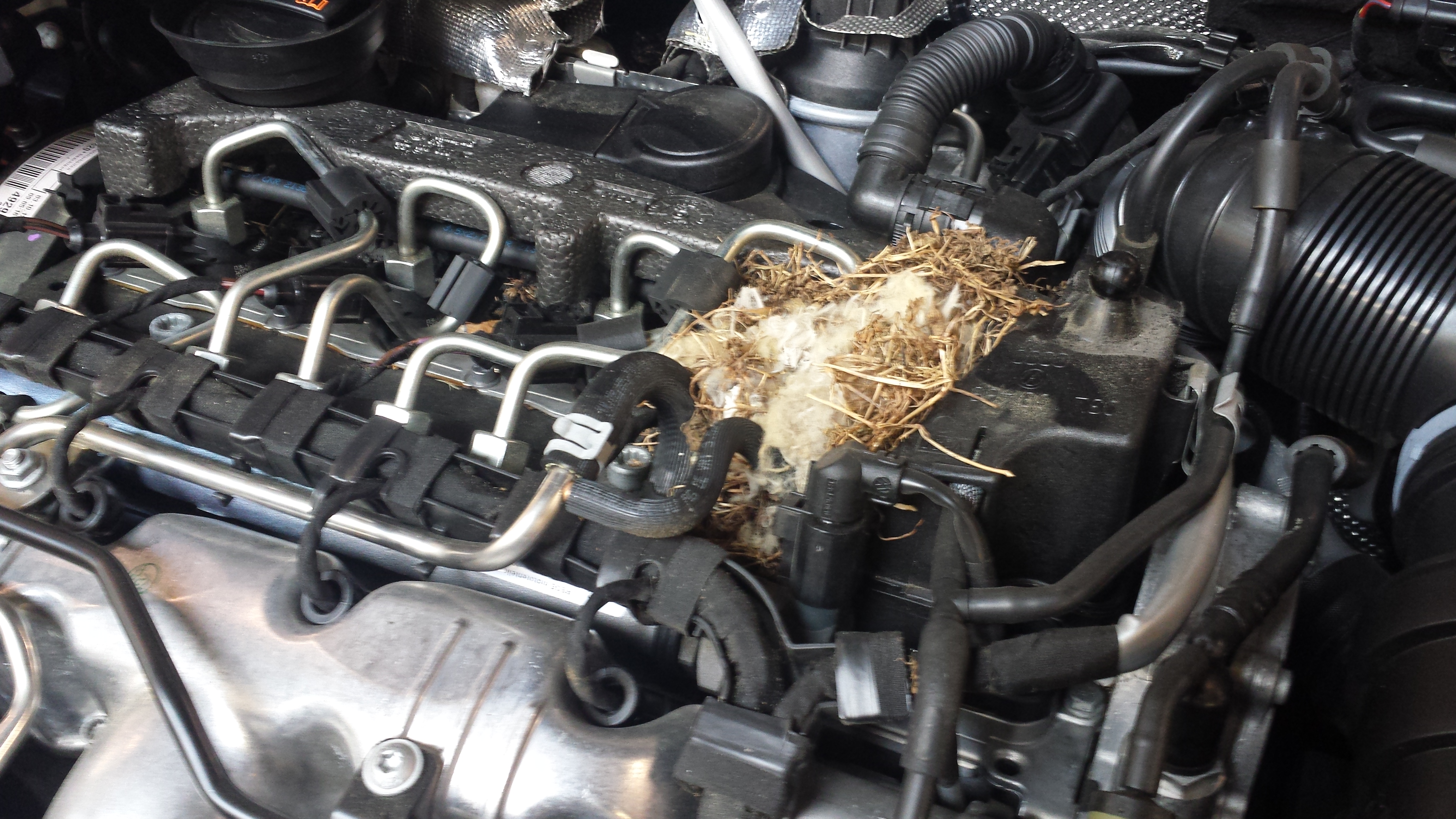 Shop Shots Volume 75 Insider Pictures of Automotive Service – Humble ...