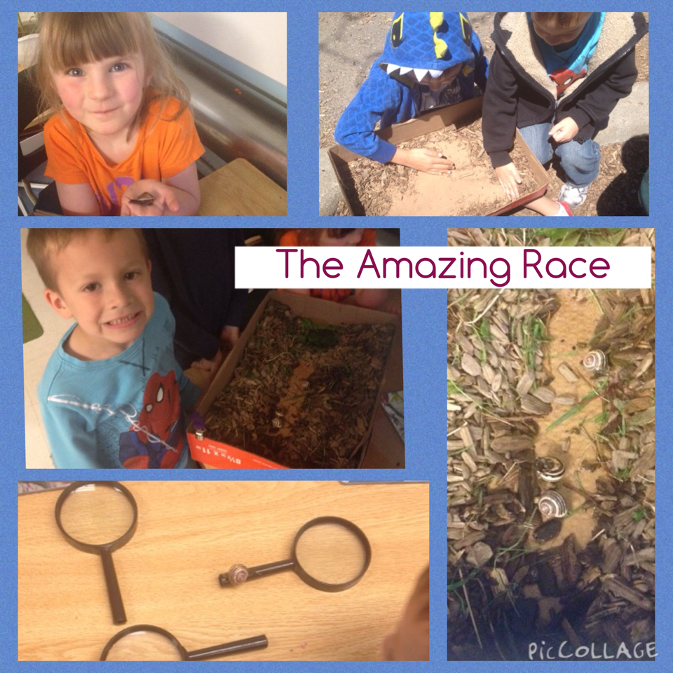 The Amazing Race! – Kindergarten with Miss Dooley
