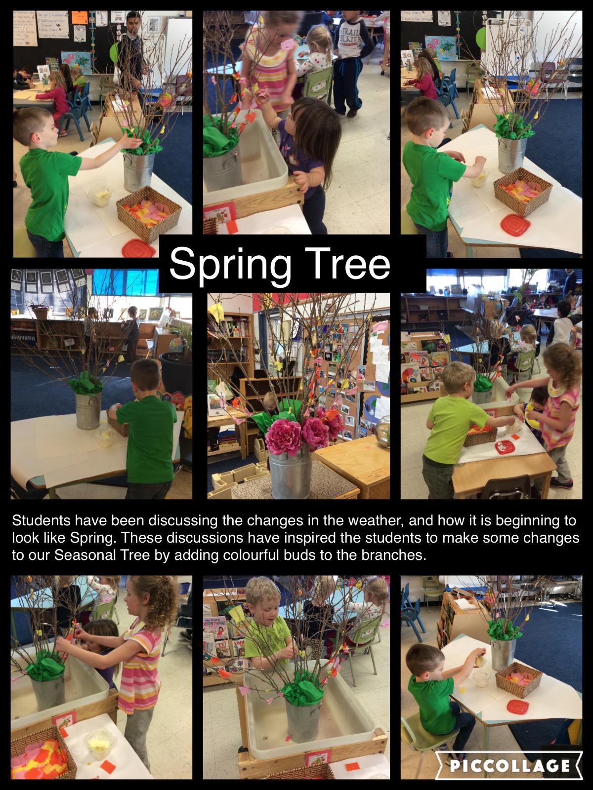 Spring Tree – Our Kindergarten Journey