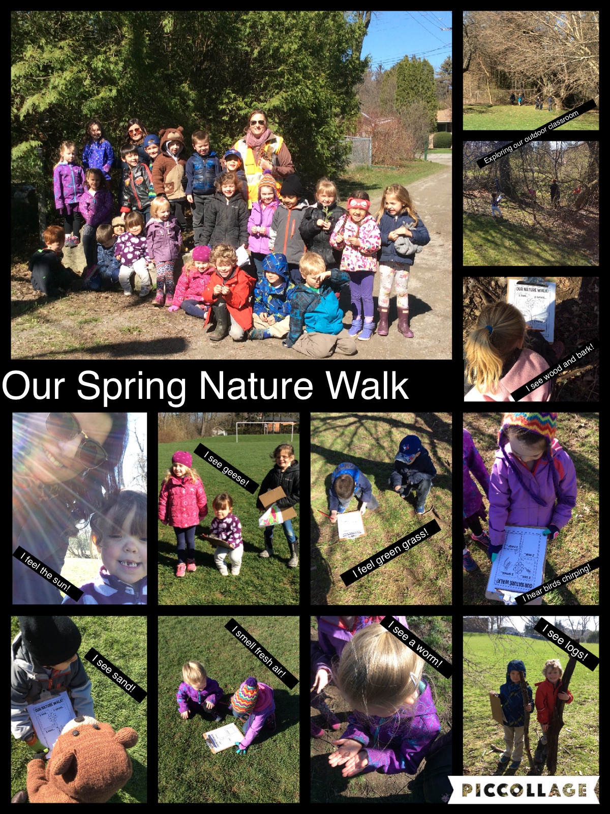 Spring Inquiry | Our Kindergarten Journey