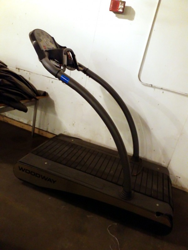 iBid Lot # 8533 - Woodway Treadmill
