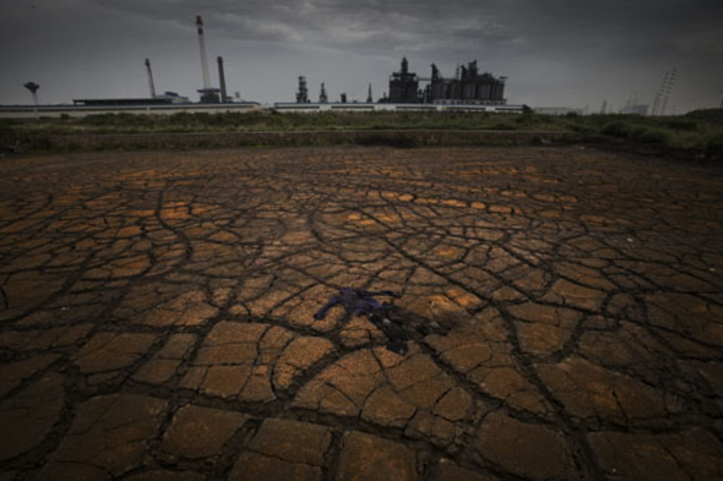 The fields along the Yangtze River are polluted by sewage from the ...