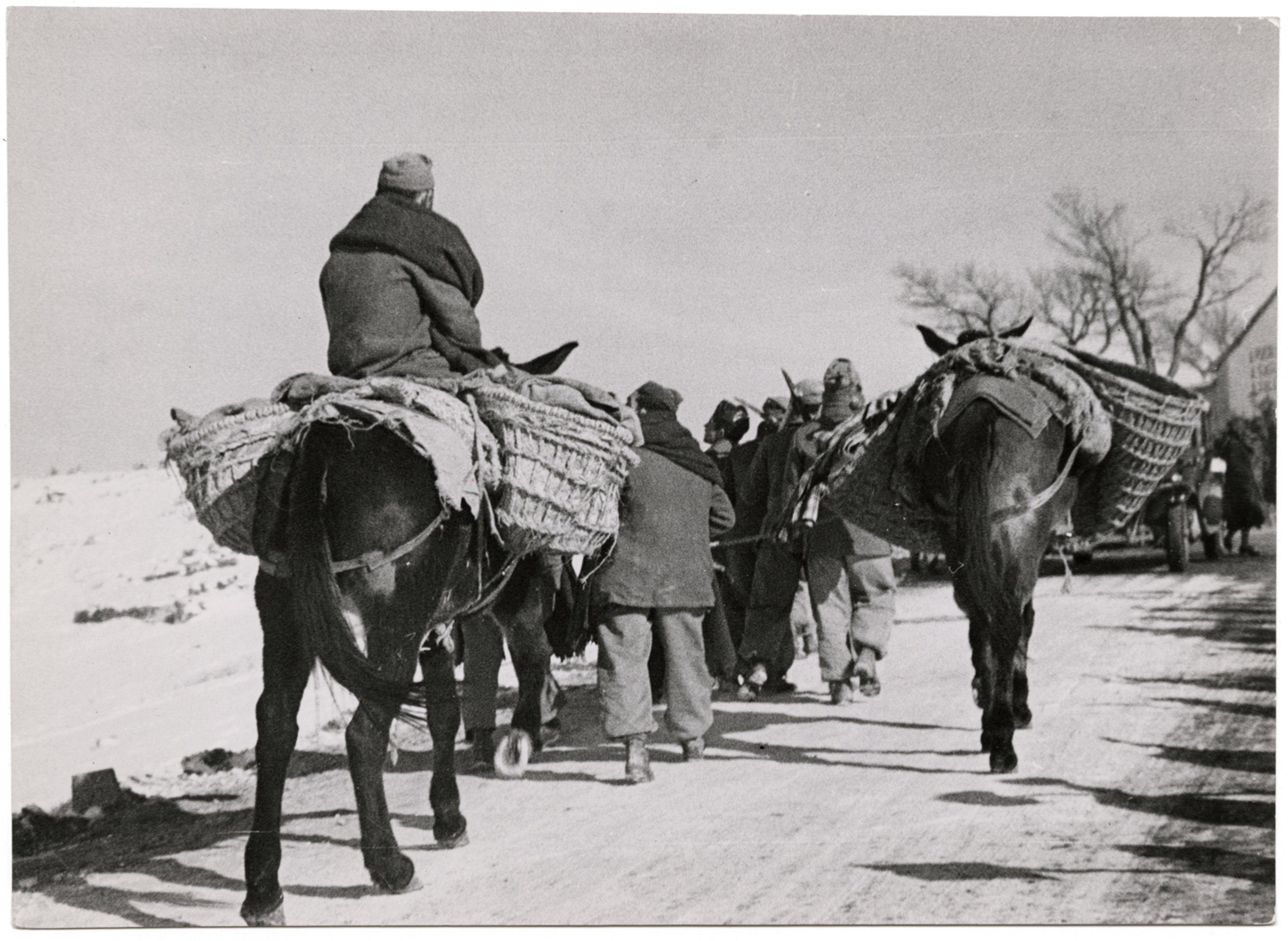 [Republican soldiers walking with donkeys, Teruel, Aragón front, Spain ...