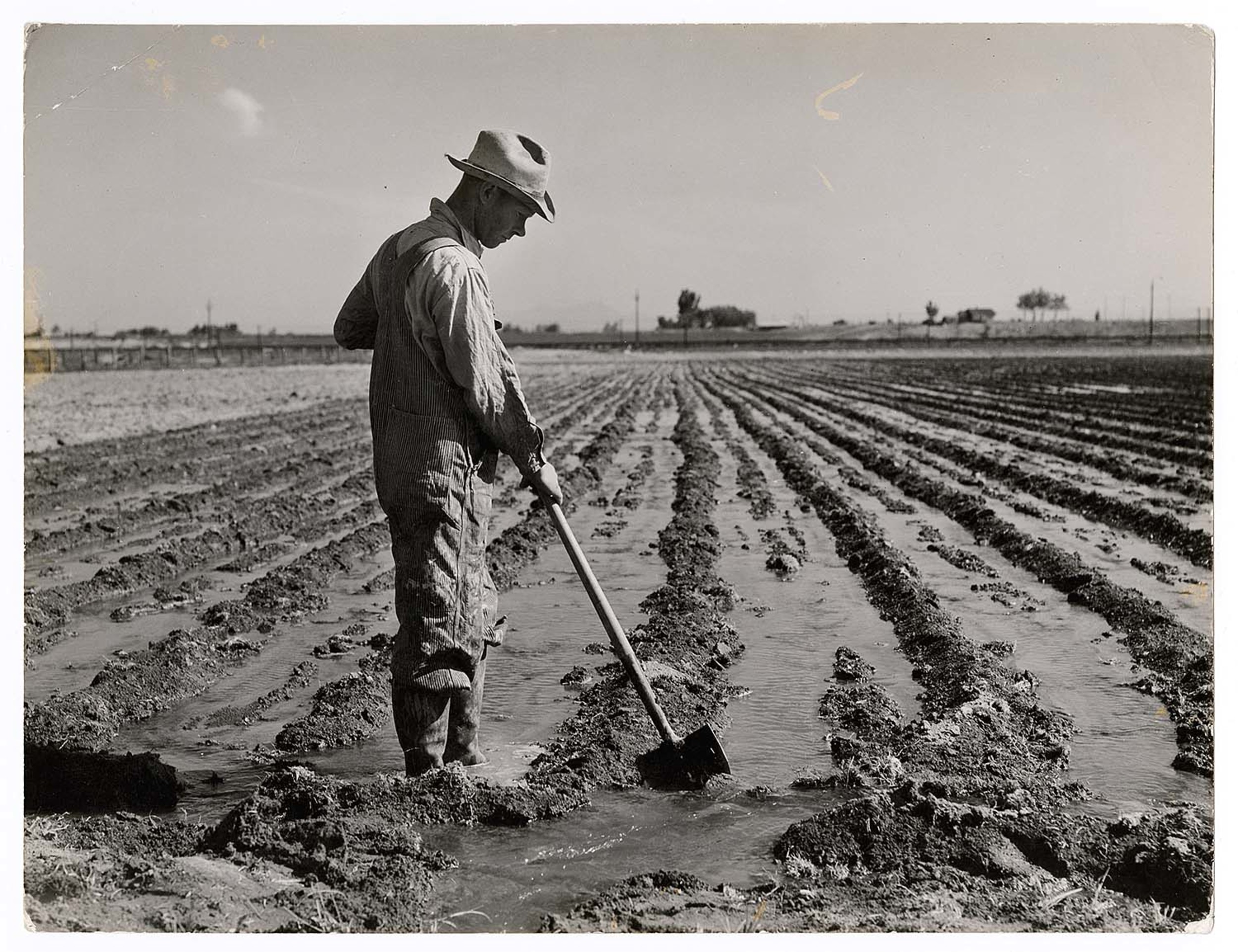[Boise Valley farmer working field irrigated by water from reservoir ...