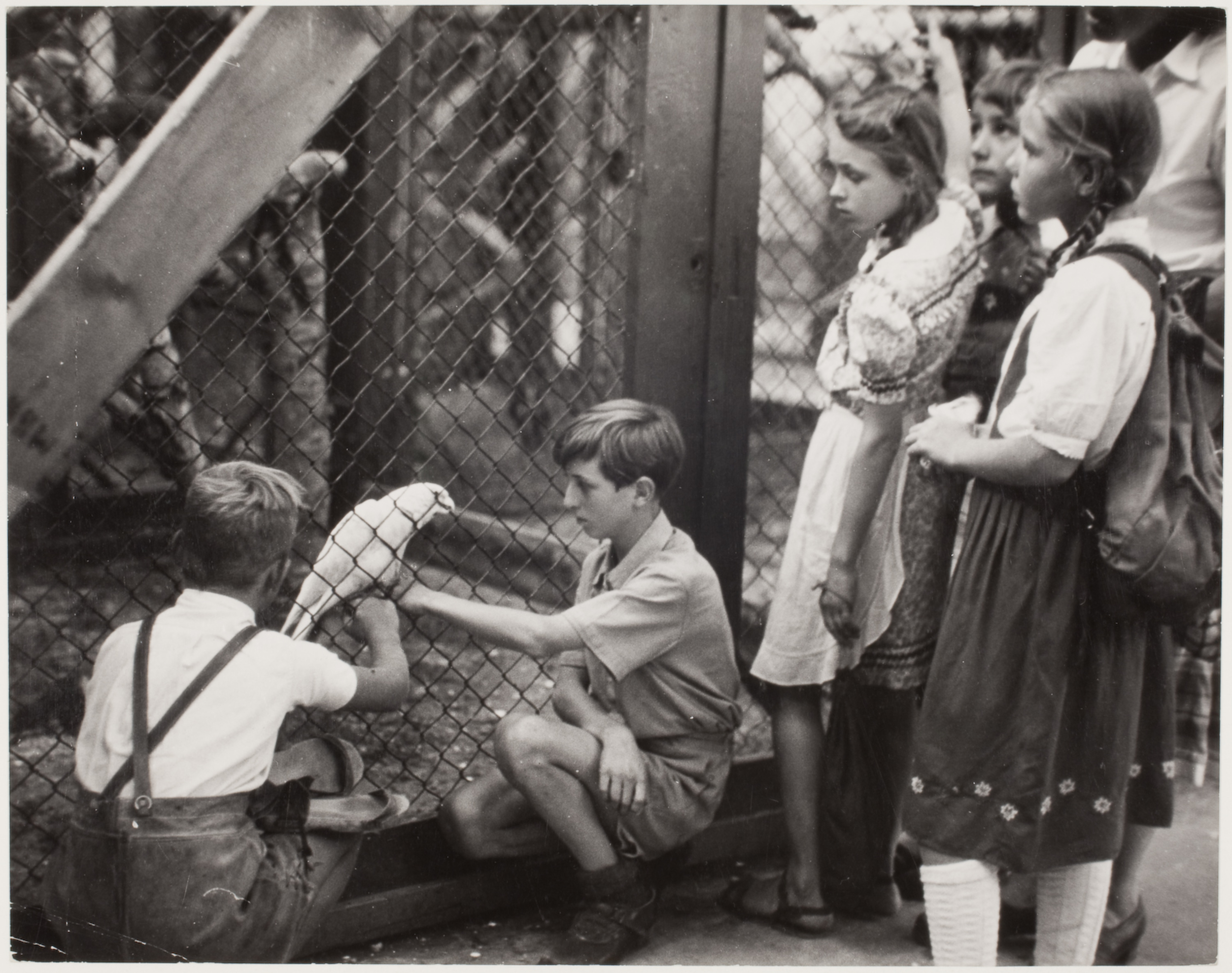 [Children at the Munich Zoo with Adolf, the parrot that says "Heil ...
