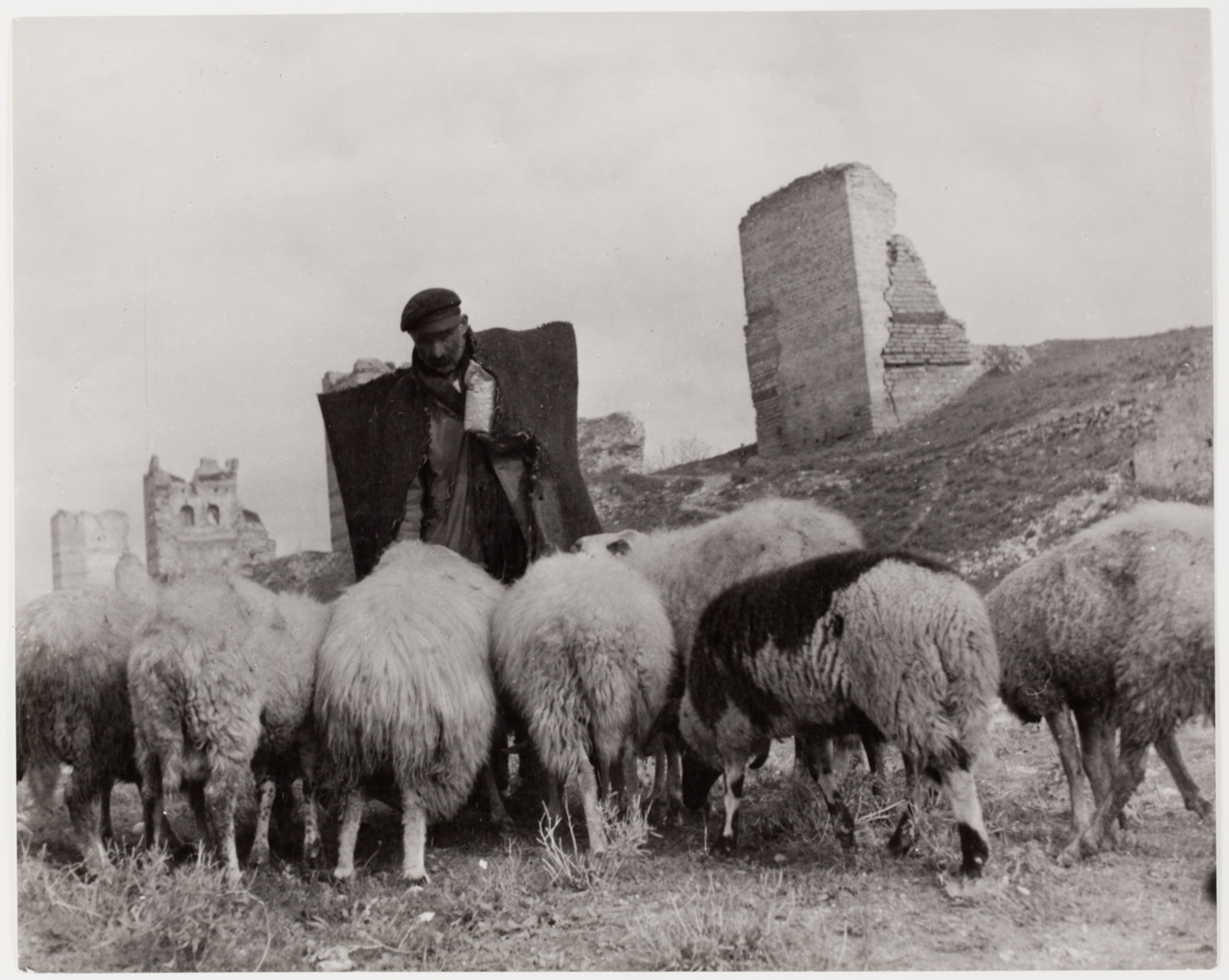 [Shepherd with herd of sheep, Ankara, Turkey] | International Center of ...
