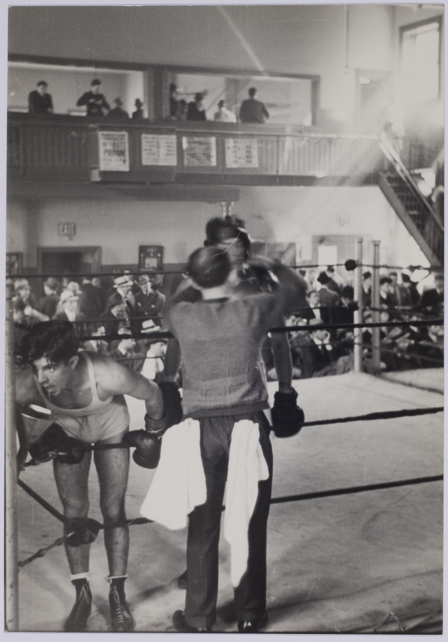 [Boxers in ring at Stillman's Gym, New York] | International Center of ...