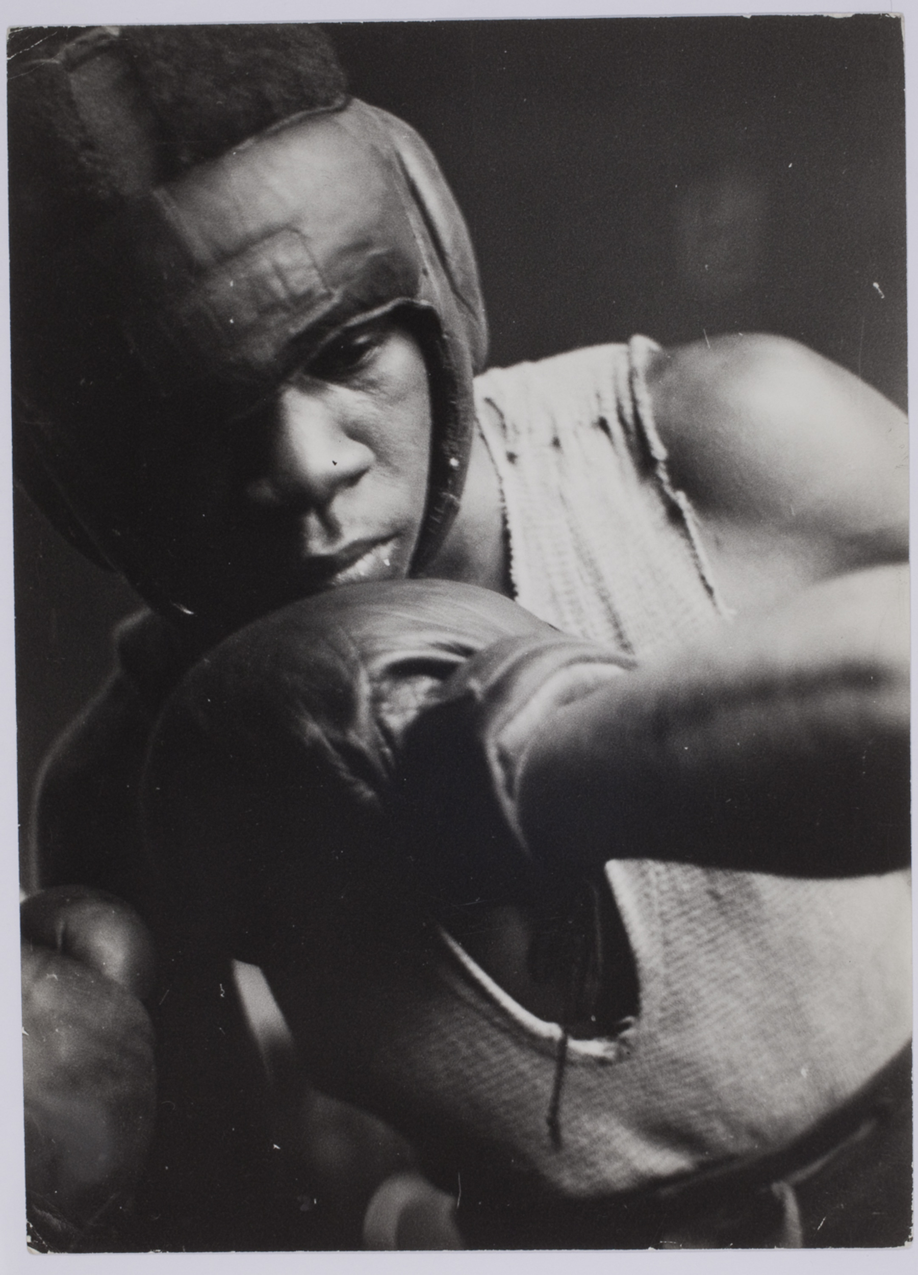 [Stillman's Gym, close up of boxer Frankie Reese, protective head gear ...