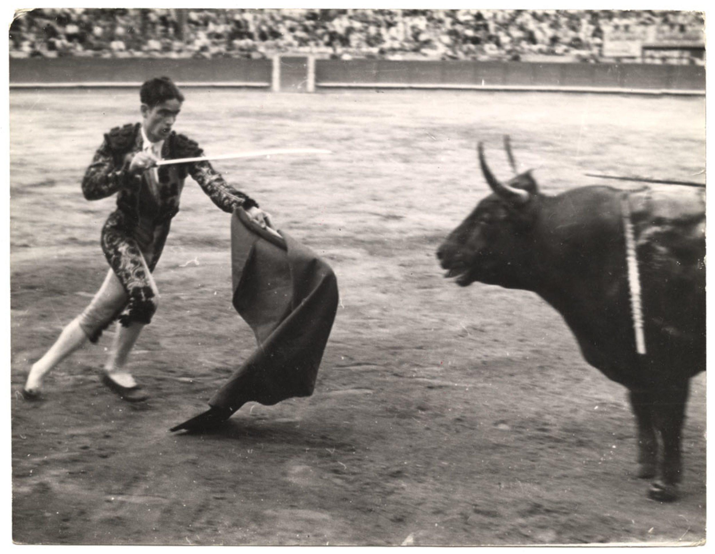 [Bullfighter attacking a bull at P.O.U.M. bullfight, Barcelona, Spain ...
