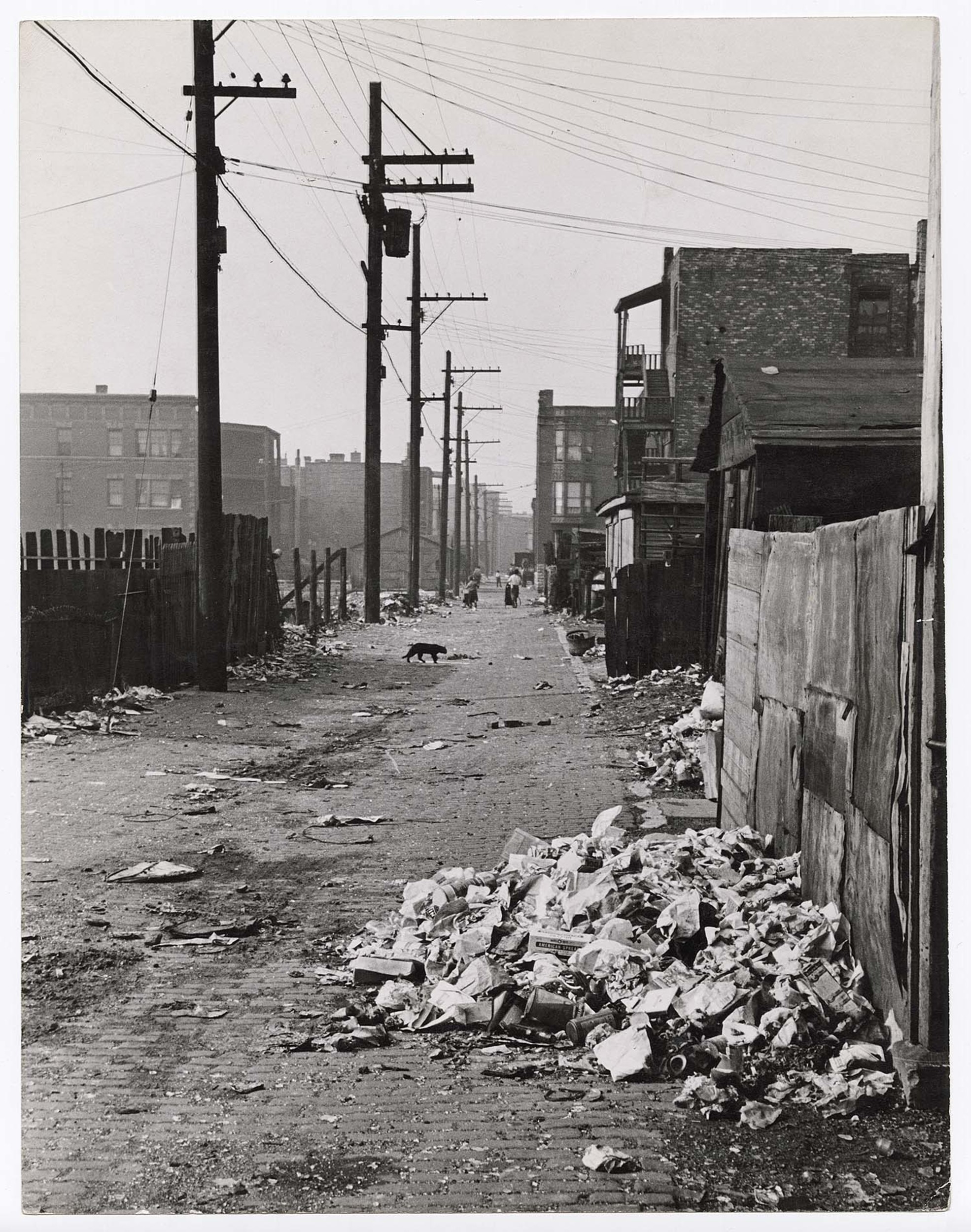 [Garbage strewn alley in the slums of Chicago] | International Center ...