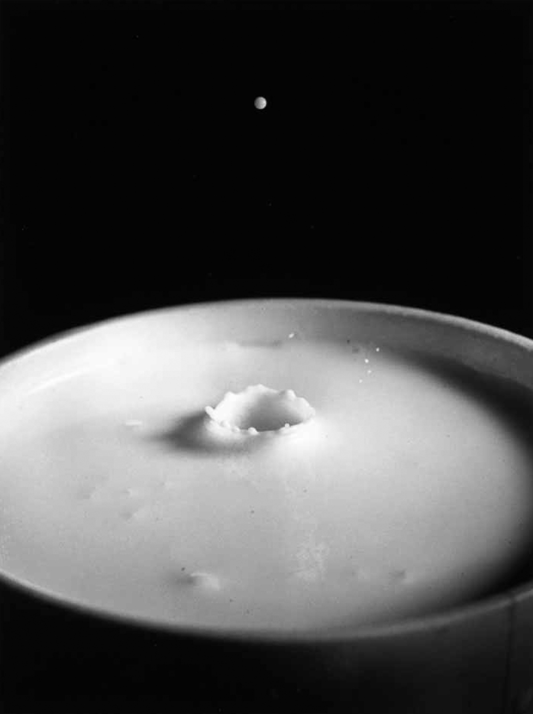 Drop falling into cup of milk | International Center of Photography