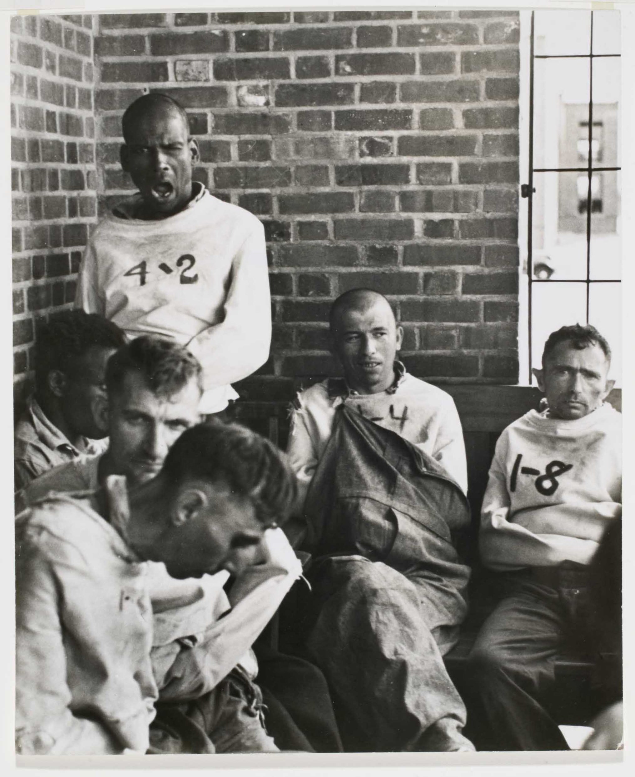 Pilgrim State Hospital, Long Island | International Center of Photography