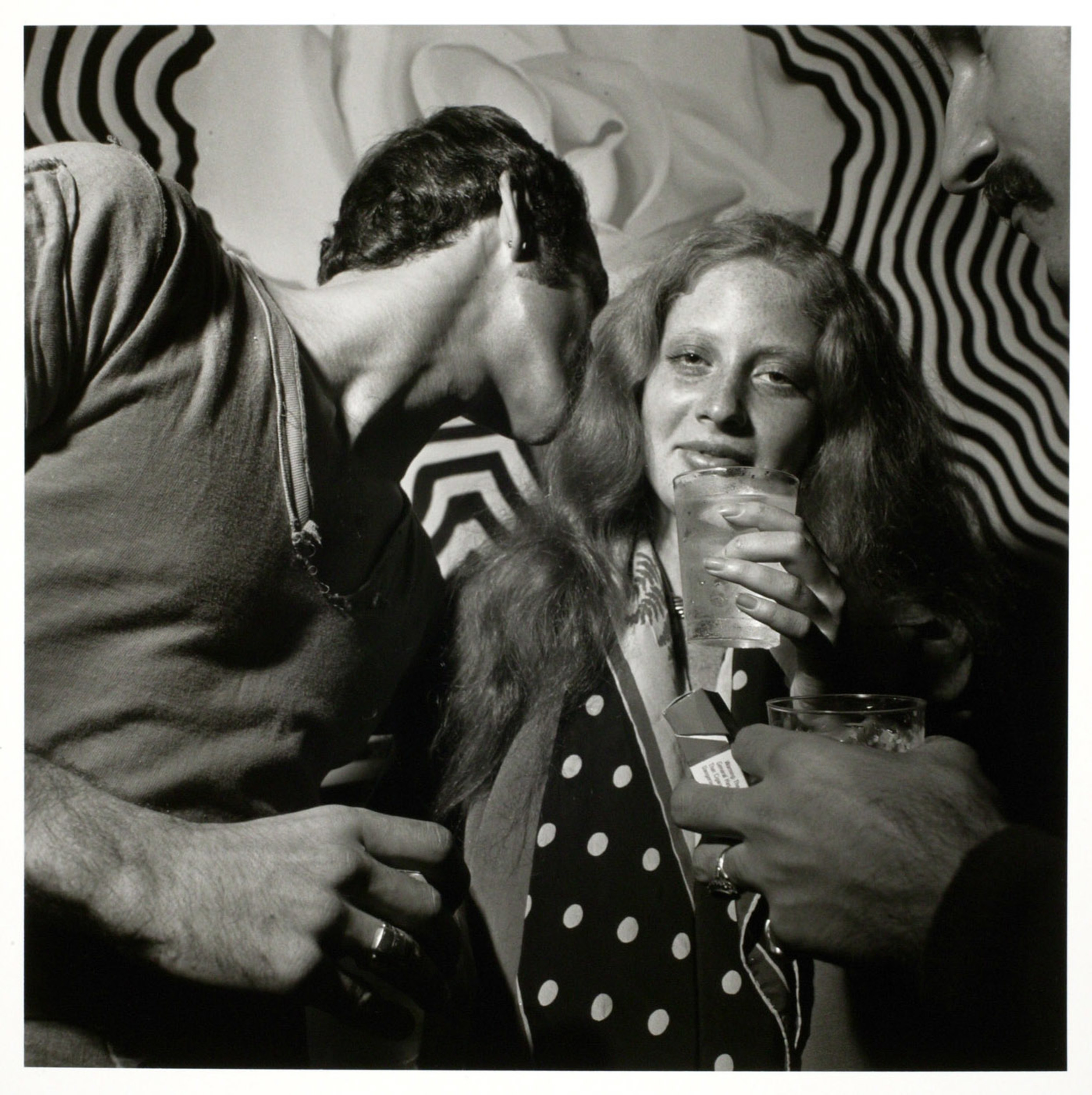 Stephanotti - 1 | ICP