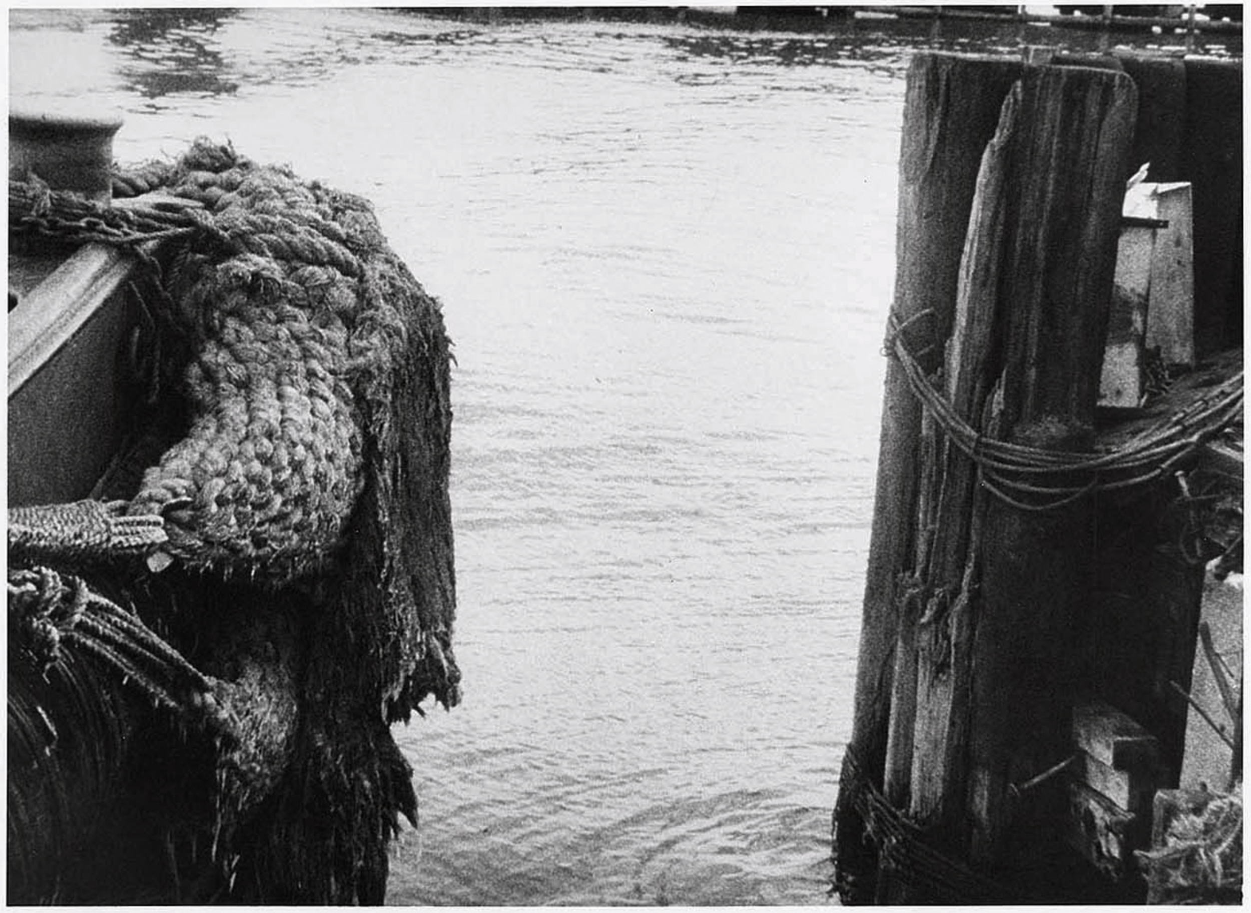 [Out-takes from the film "Kaddish"] | International Center of Photography