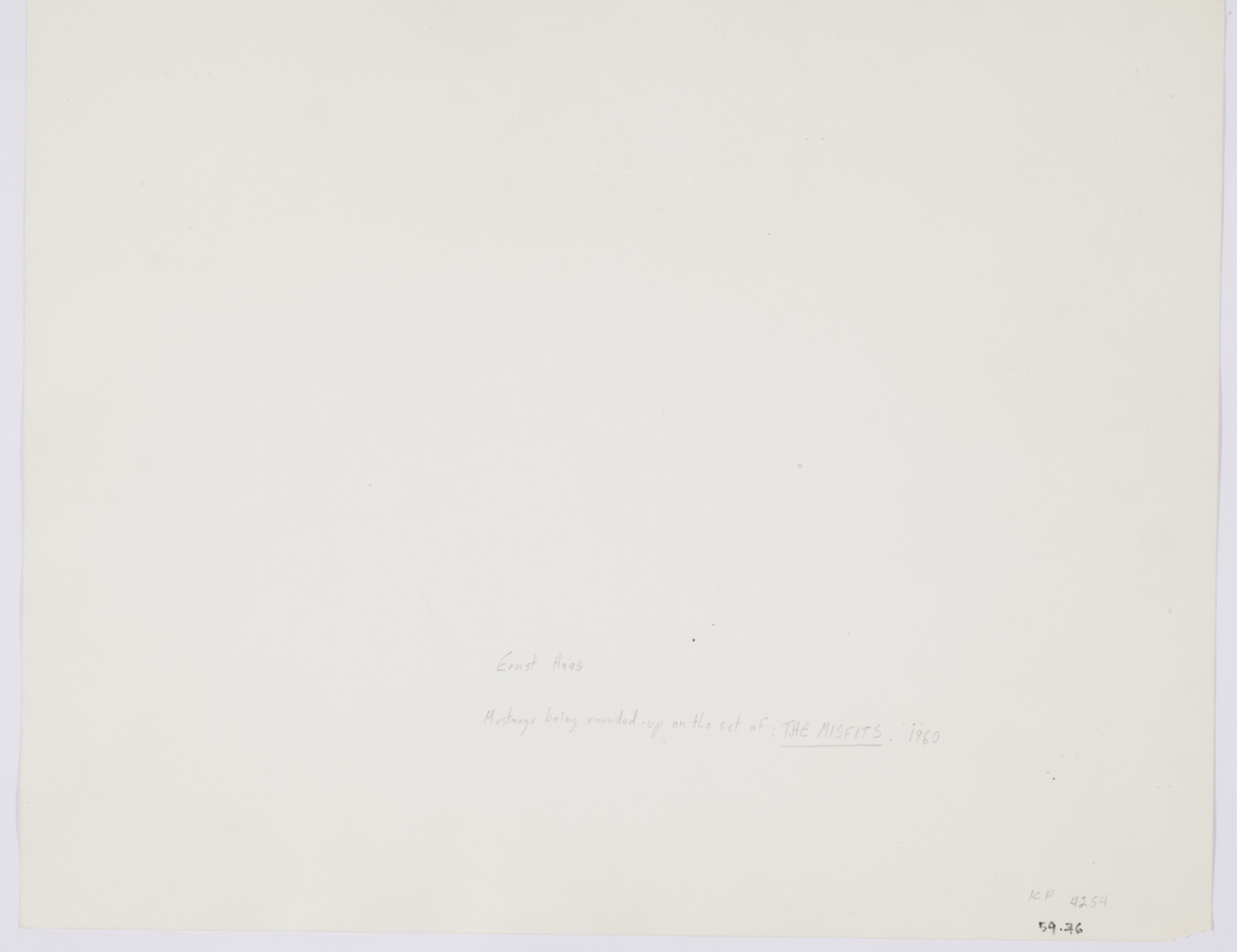 Mustangs being rounded up on the set of The Misfits | International ...