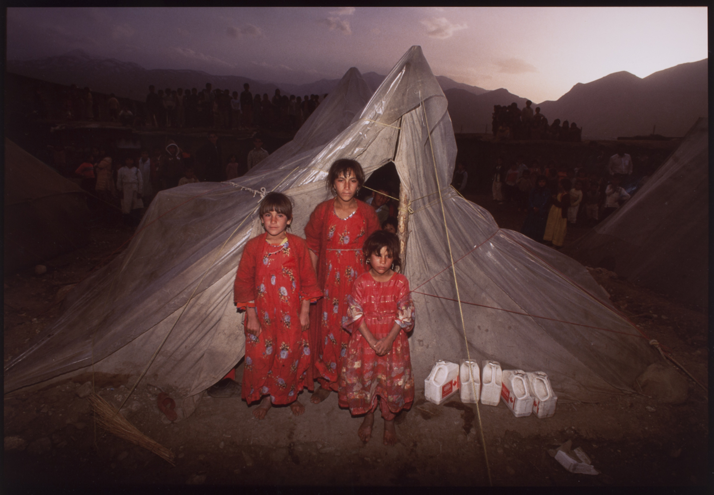 Girls in front of their makeshift tent in the Ziveh refugee camp in ...