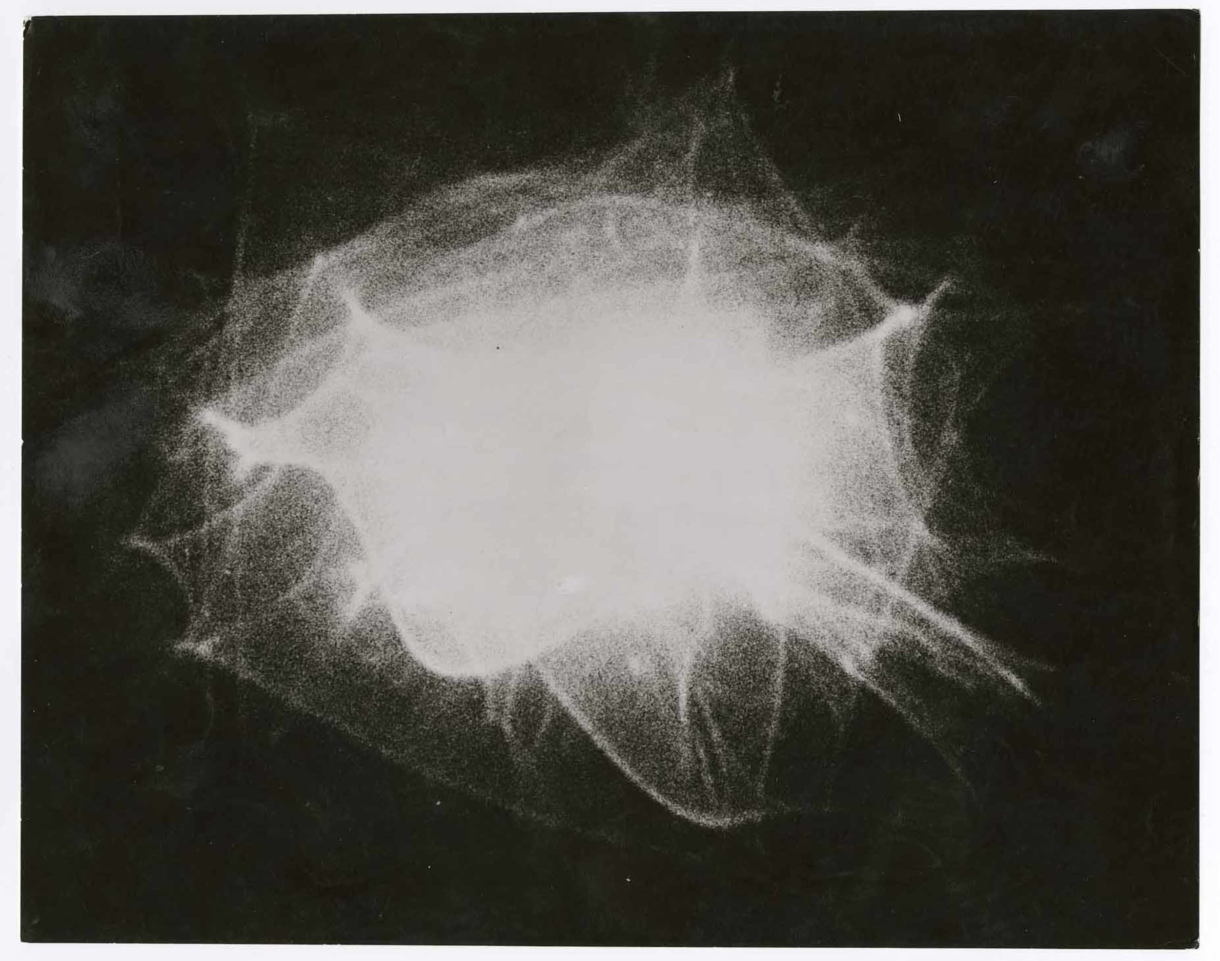 [Night bombing pattern created by a large incendiary bomb hit by flak ...