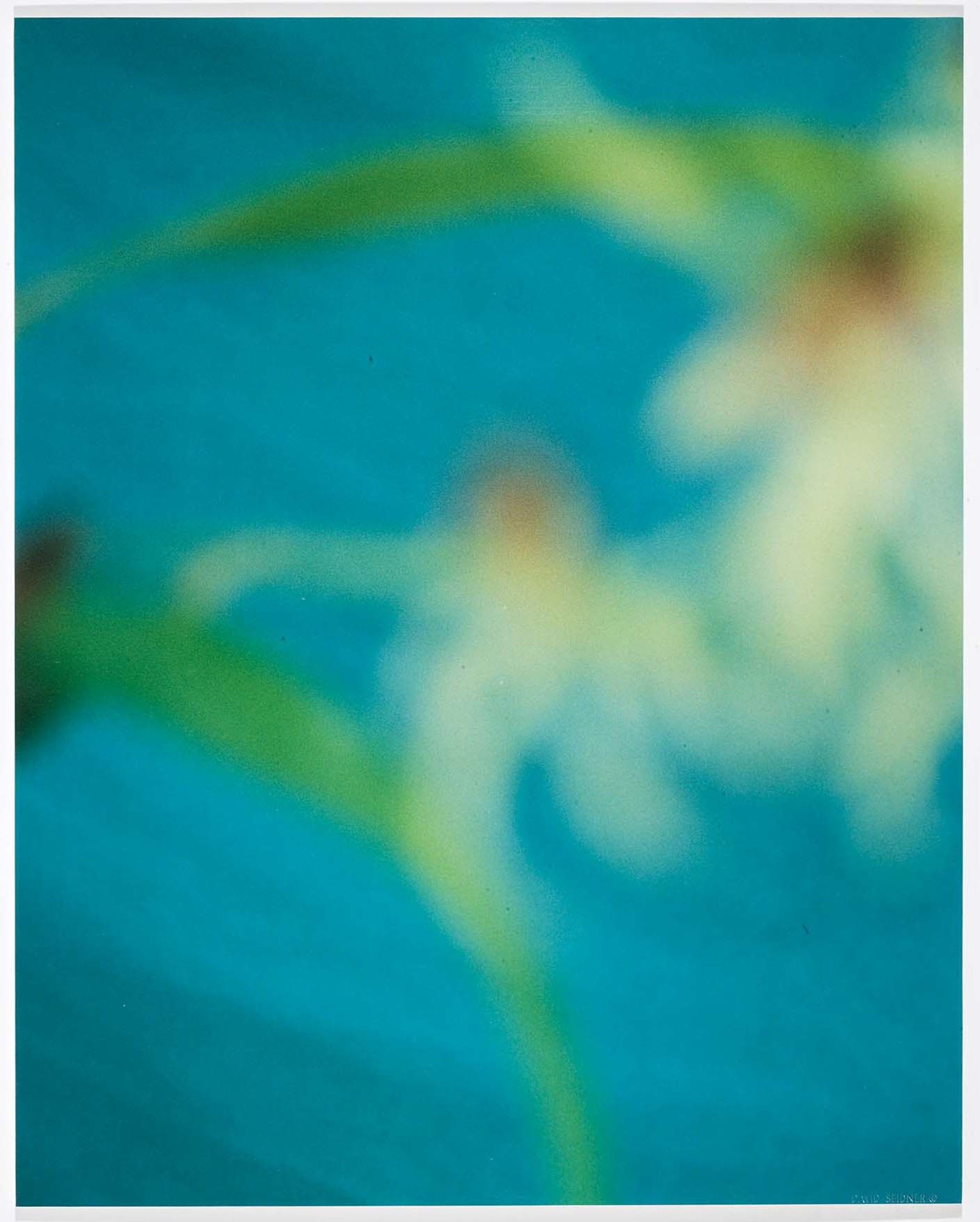 David Seidner Archive, selections | International Center of Photography