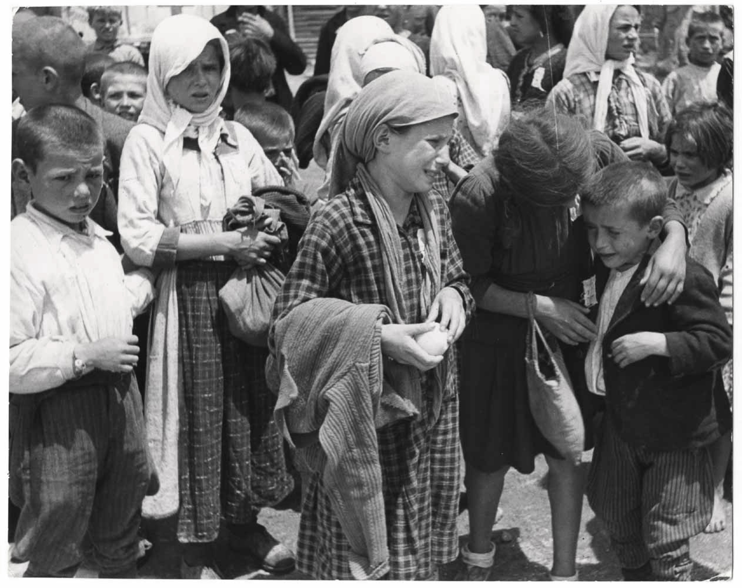 [Crying children being evacuated from the village of Promahi, Greece ...