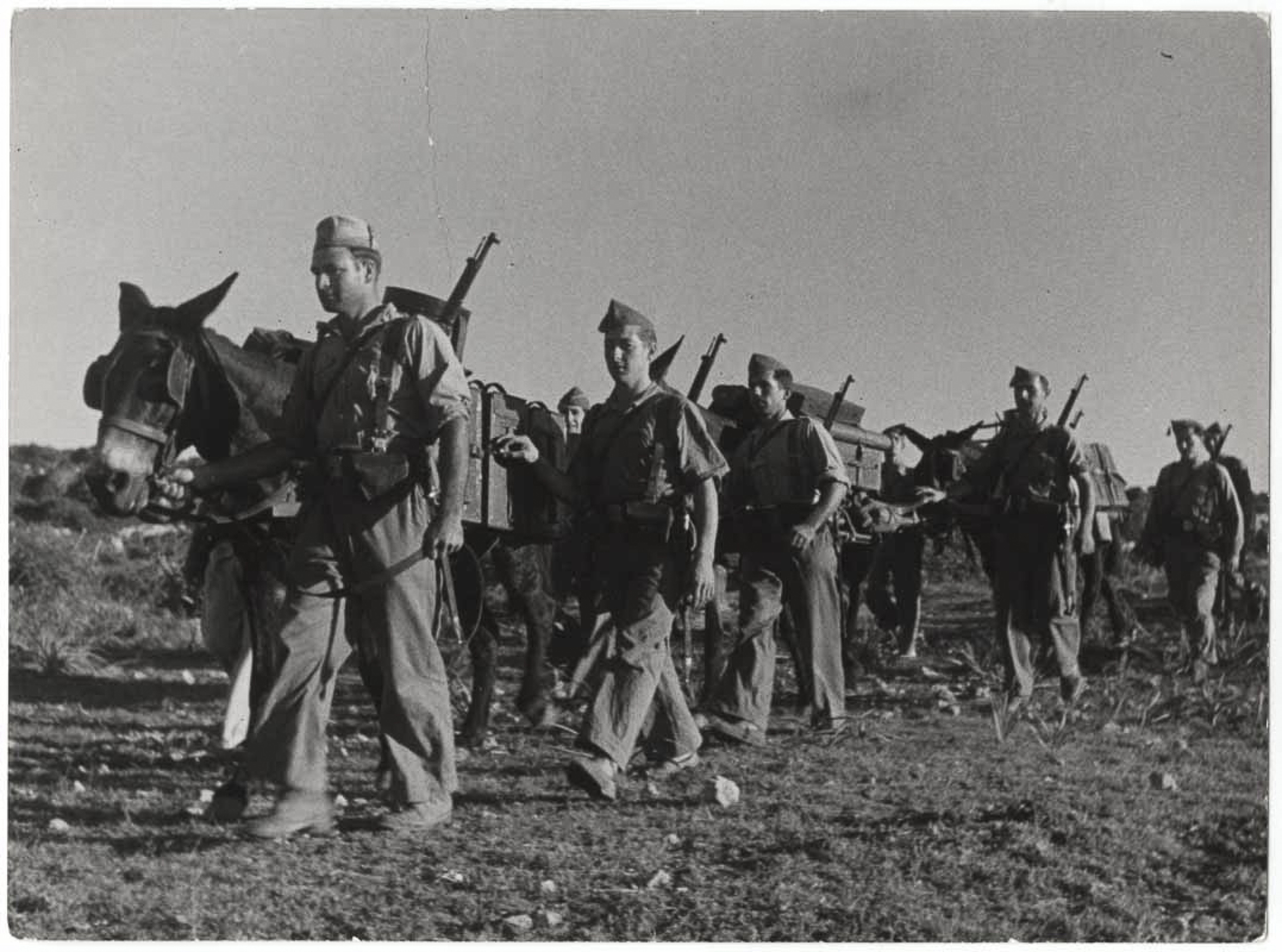 [Army soldiers walking through a filed with donkeys loaded with gear ...