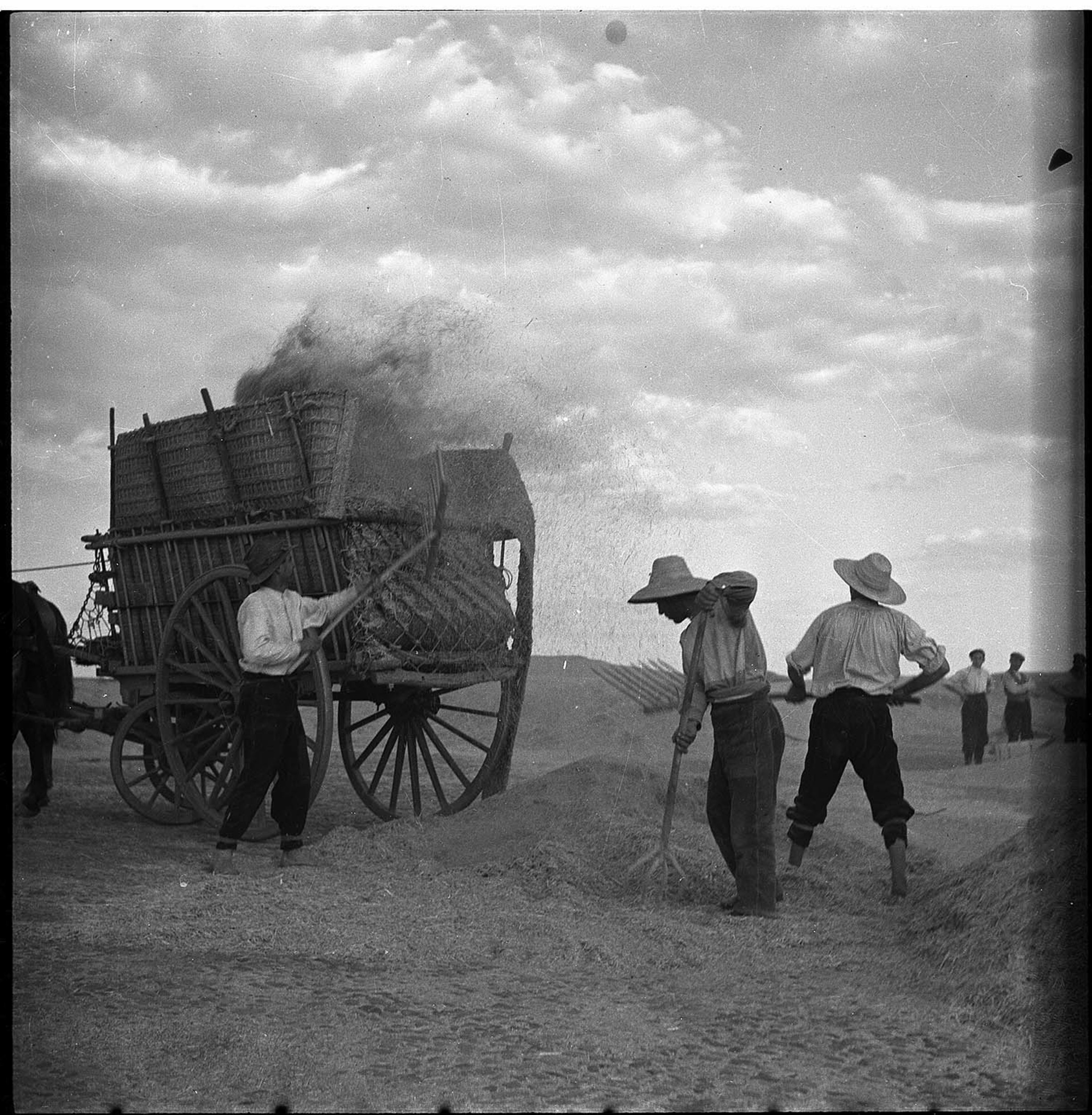 [Agricultural workers loading cart, Aragón front, Spain ...