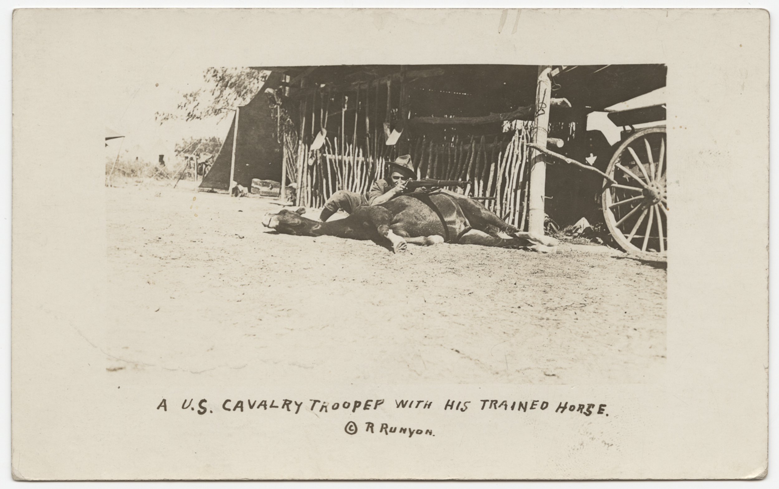 A U.S. Cavalry Trooped with His Trained Horse. | International Center ...