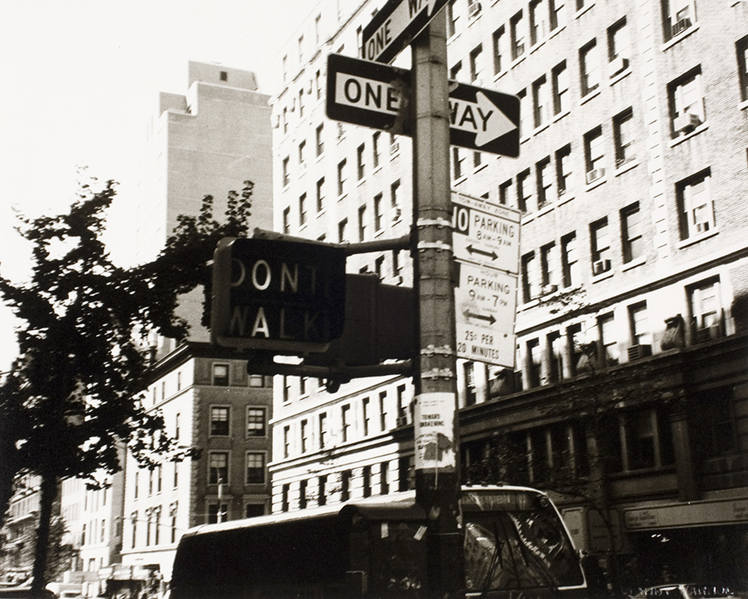 Street Signs: One-Way, No Parking, Don't Walk | International Center of ...