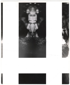 Distorted celebrity | International Center of Photography