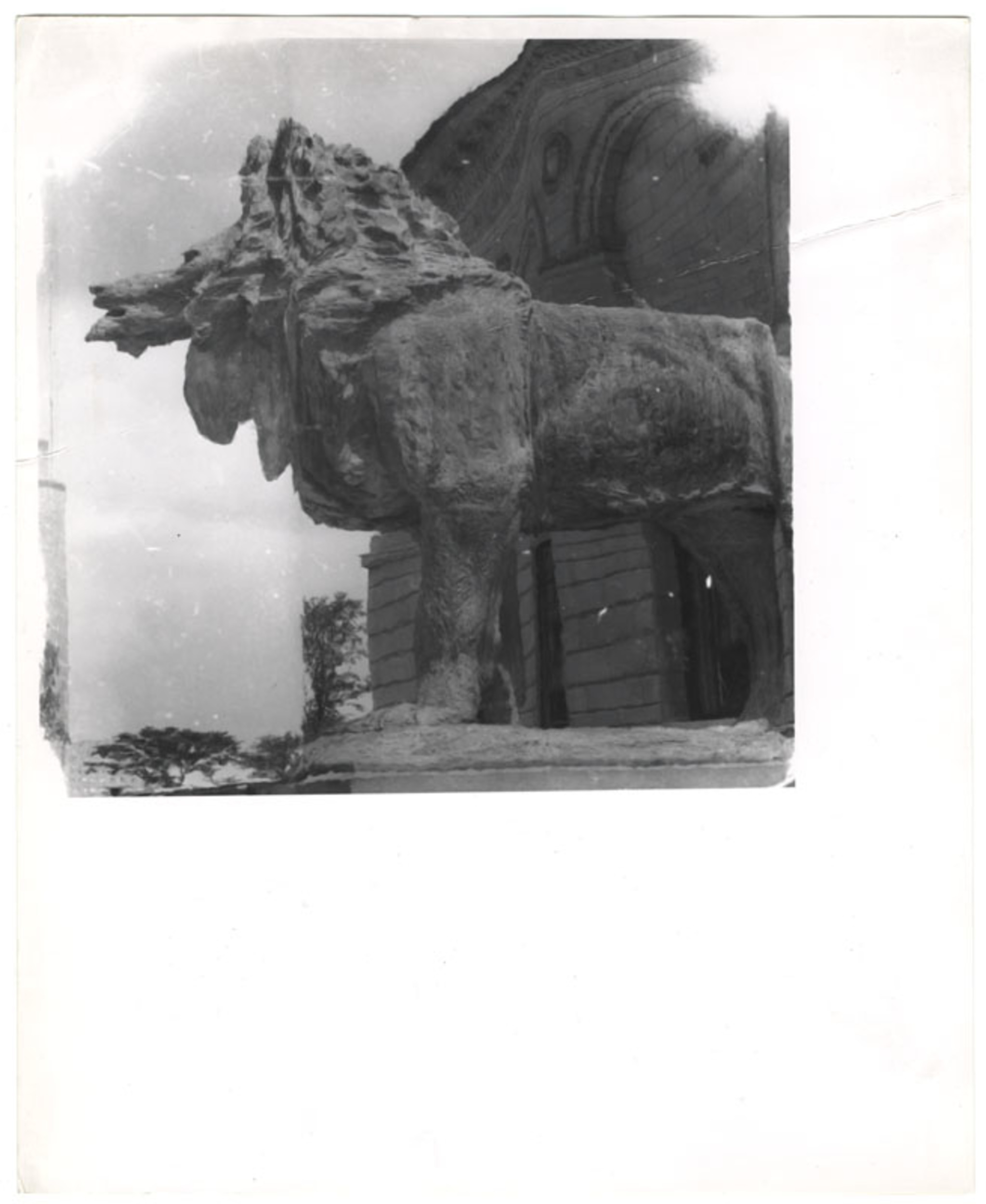 Lion Statue (distortion) | International Center of Photography