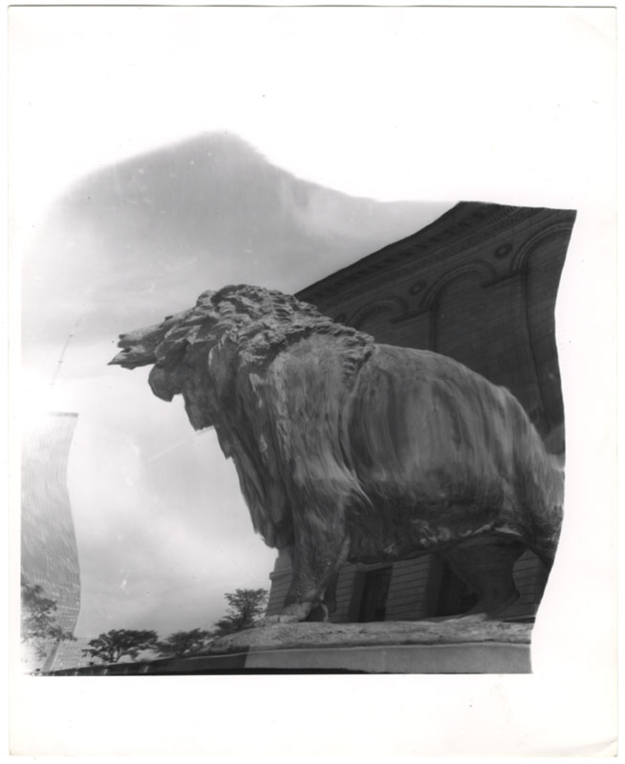Lion Statue (distortion) | International Center of Photography
