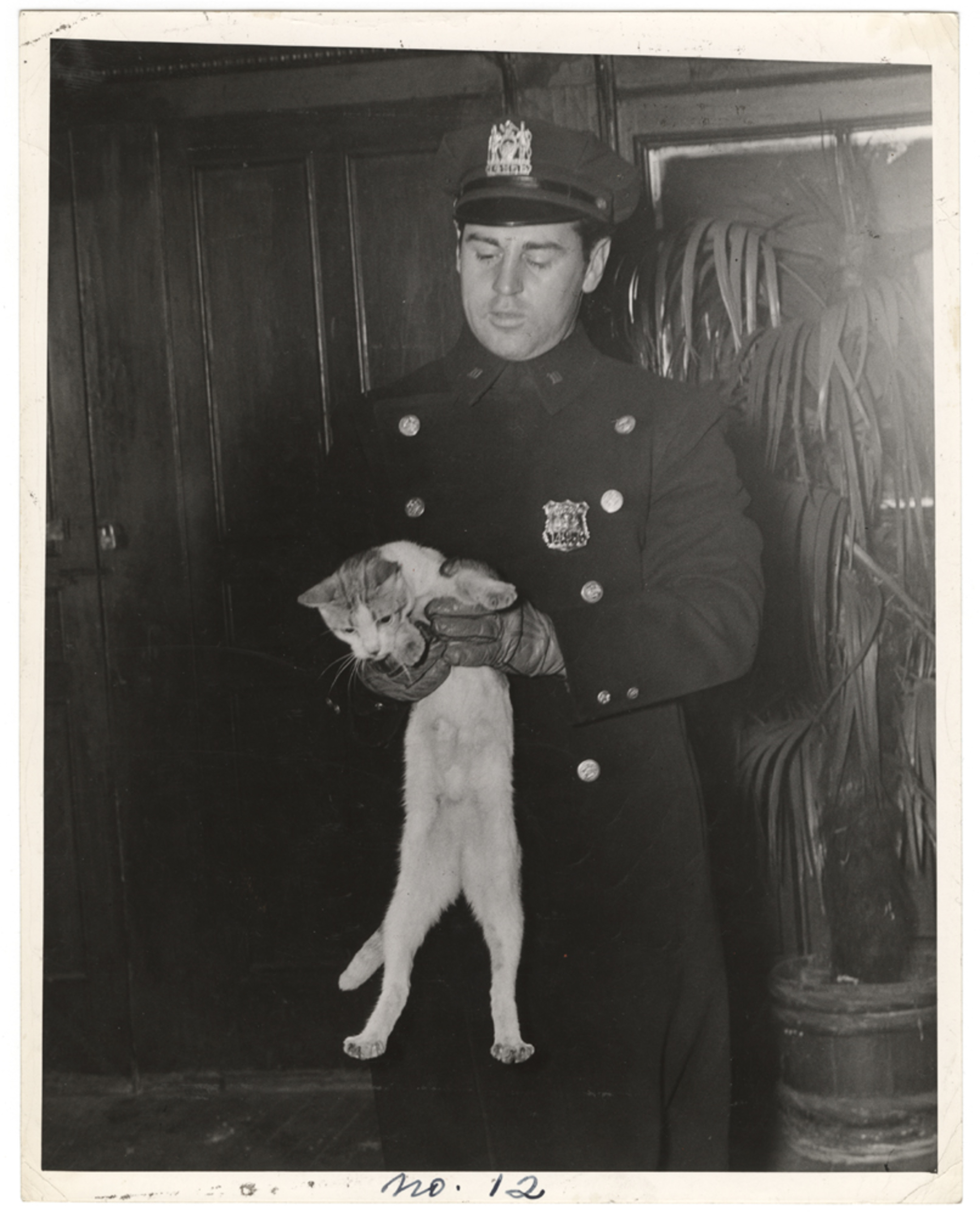 and the cat!" | International Center of Photography